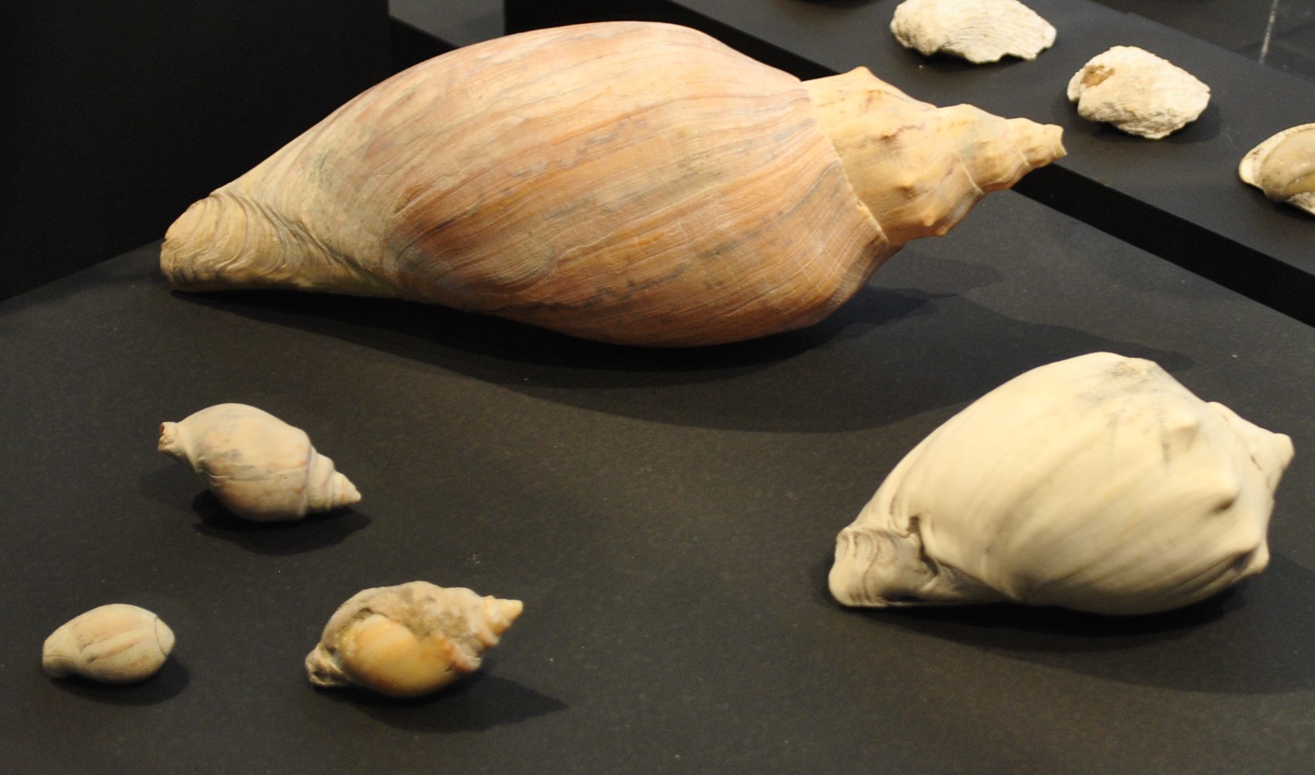 La Cisterna - Vitrina 5 | Buenos Aires Ciudad - Gobierno de la Ciudad ...