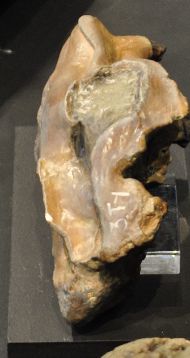 La Cisterna - Vitrina 5 | Buenos Aires Ciudad - Gobierno de la Ciudad ...