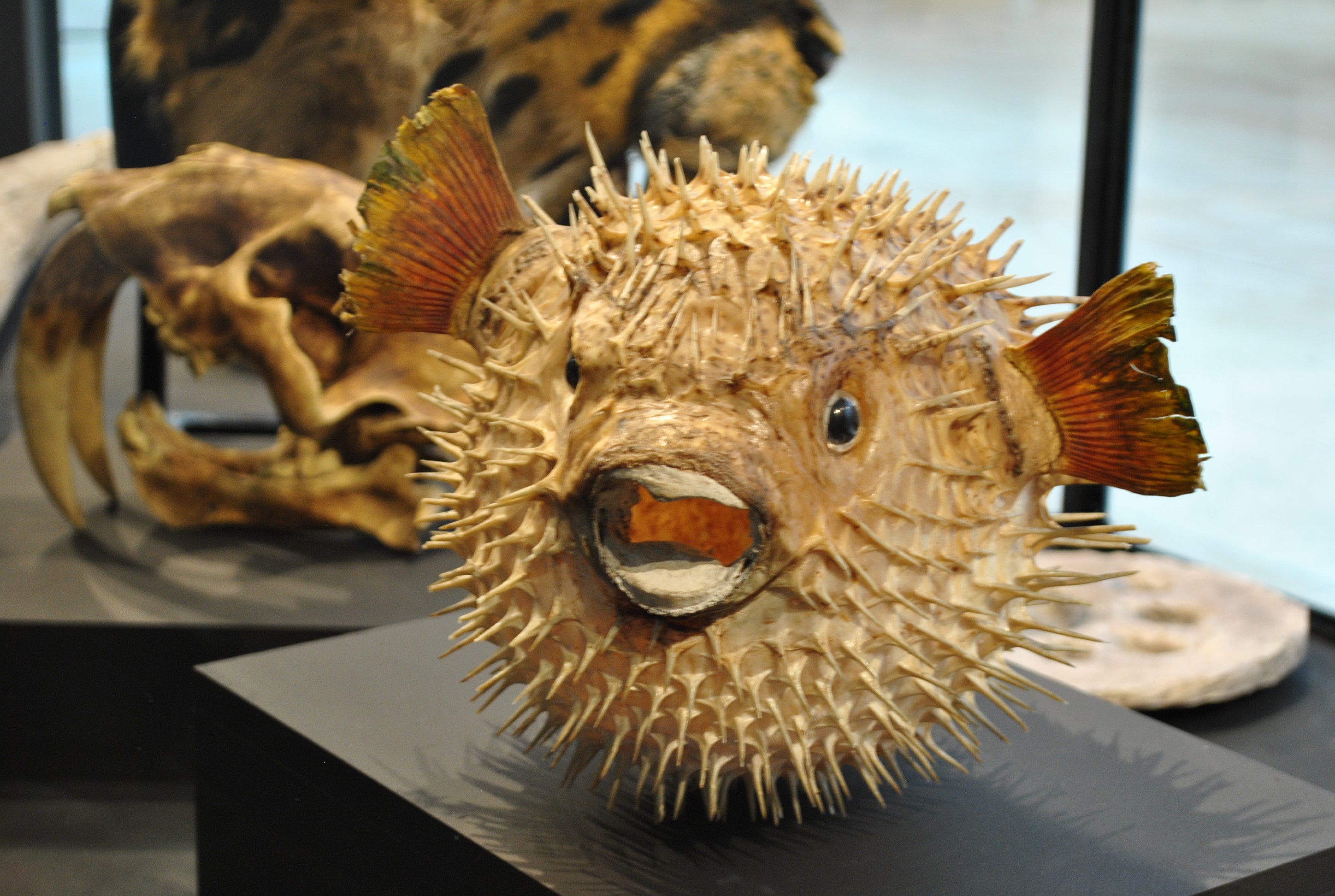 La Cisterna - Vitrina 5 | Buenos Aires Ciudad - Gobierno de la Ciudad ...