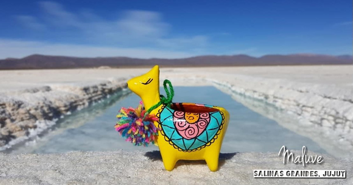 Macetas Maluve | Buenos Aires Ciudad - Gobierno de la Ciudad Autónoma ...