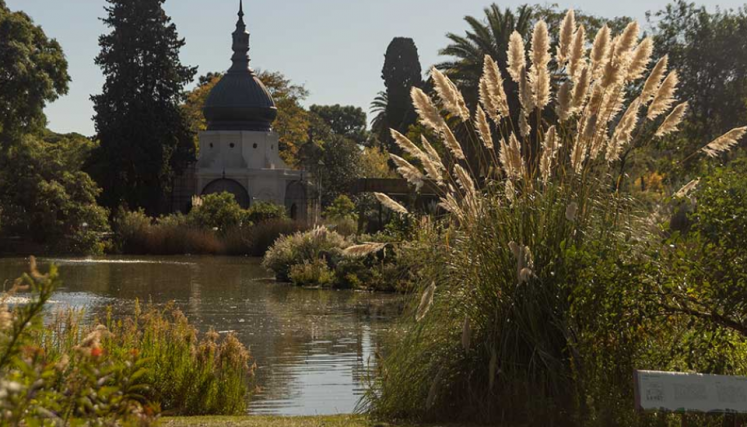 Ecoparque | Buenos Aires Ciudad - Gobierno de la Ciudad Autónoma de ...